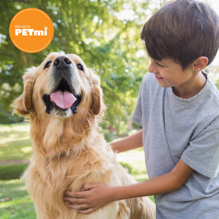 Beneficios terapéuticos de tener mascota - Revista Petmi para amantes ...