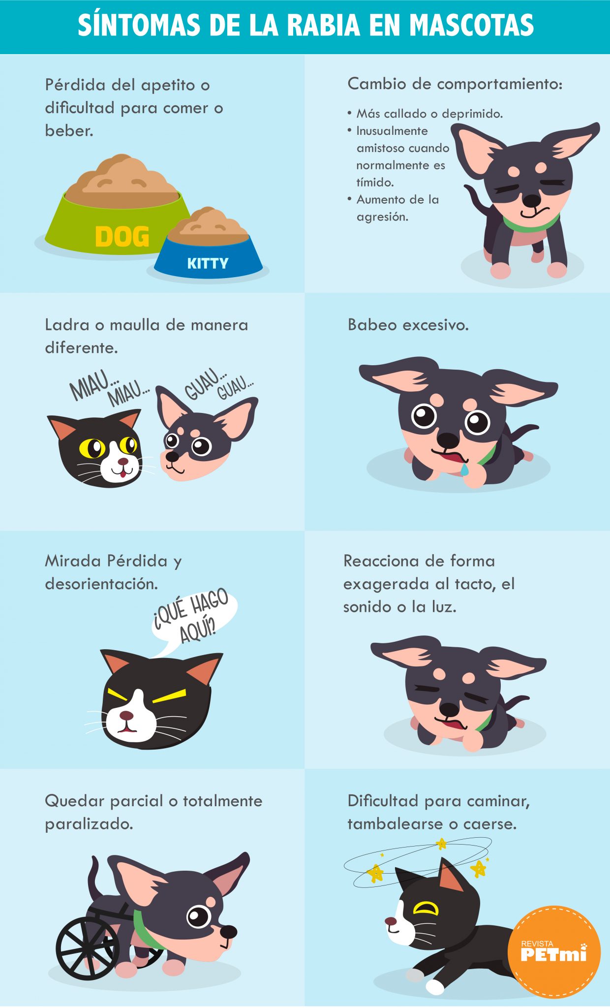 5 Datos importantes que debes saber sobre la RABIA en perros y gatos ...