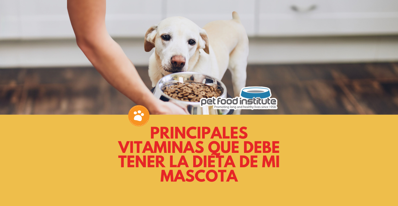 Principales vitaminas que debe tener la dieta de mi mascota - Revista ...